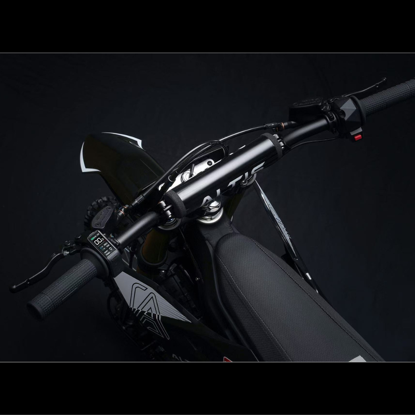 Altis Delta (17/14) EBike – XMOTOR USA